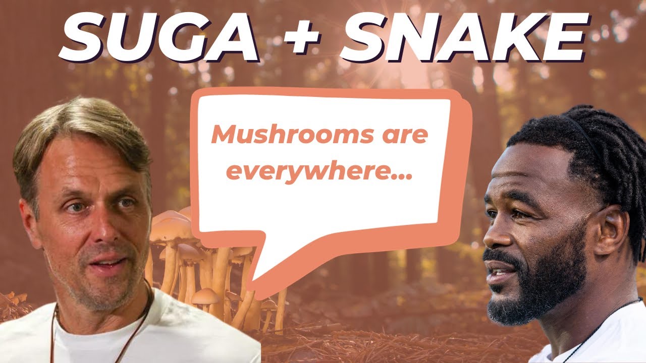 The Future is Fungi: Functional Mushrooms for Health — Suga Snake Take ...