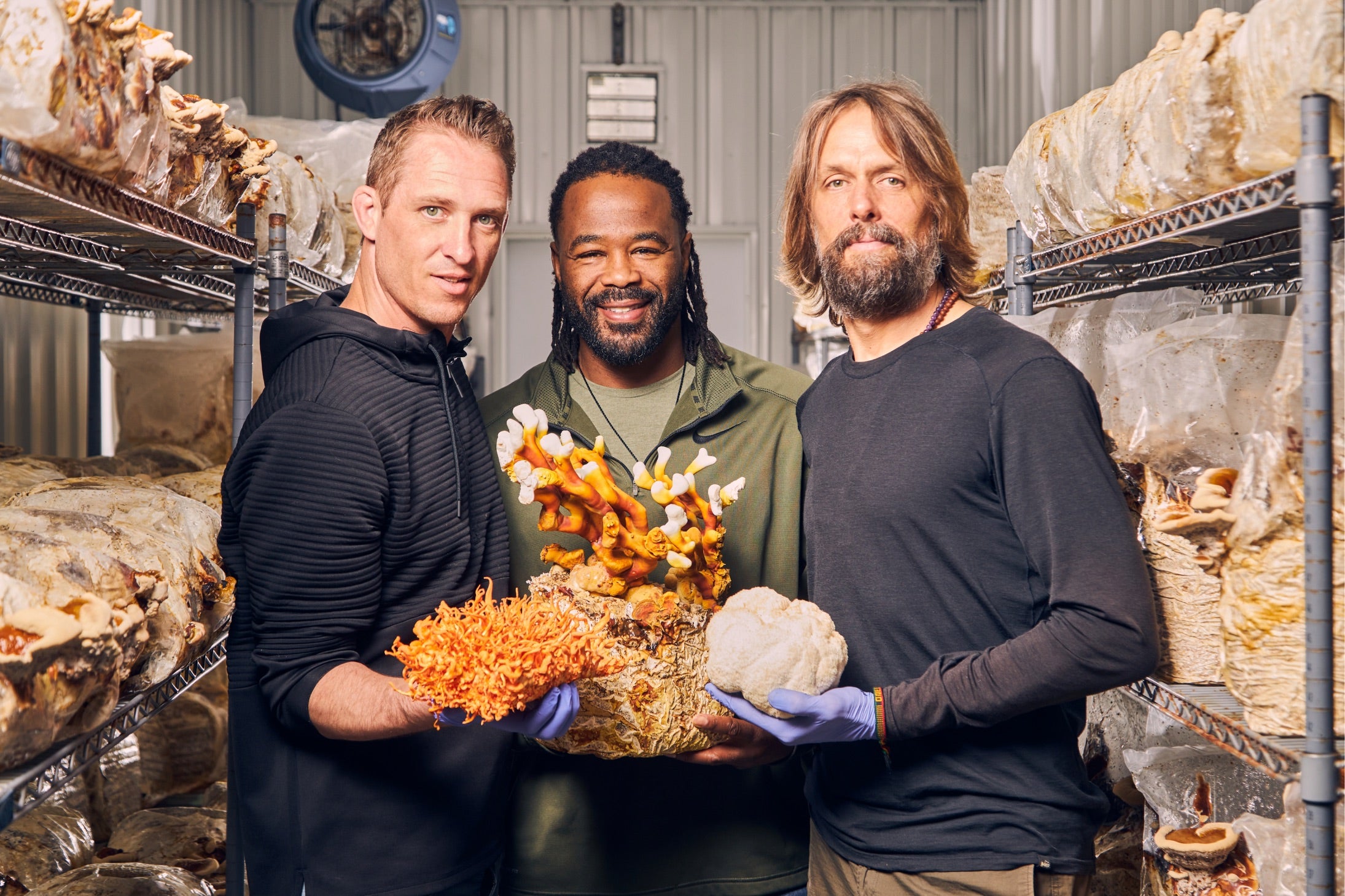 Why we wrote The Functional Mushroom Playbook – Umbo