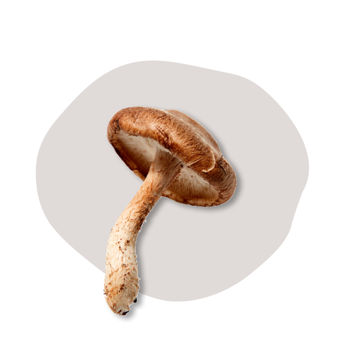 Shiitake Functional Mushroom Products for Athletes – Umbo