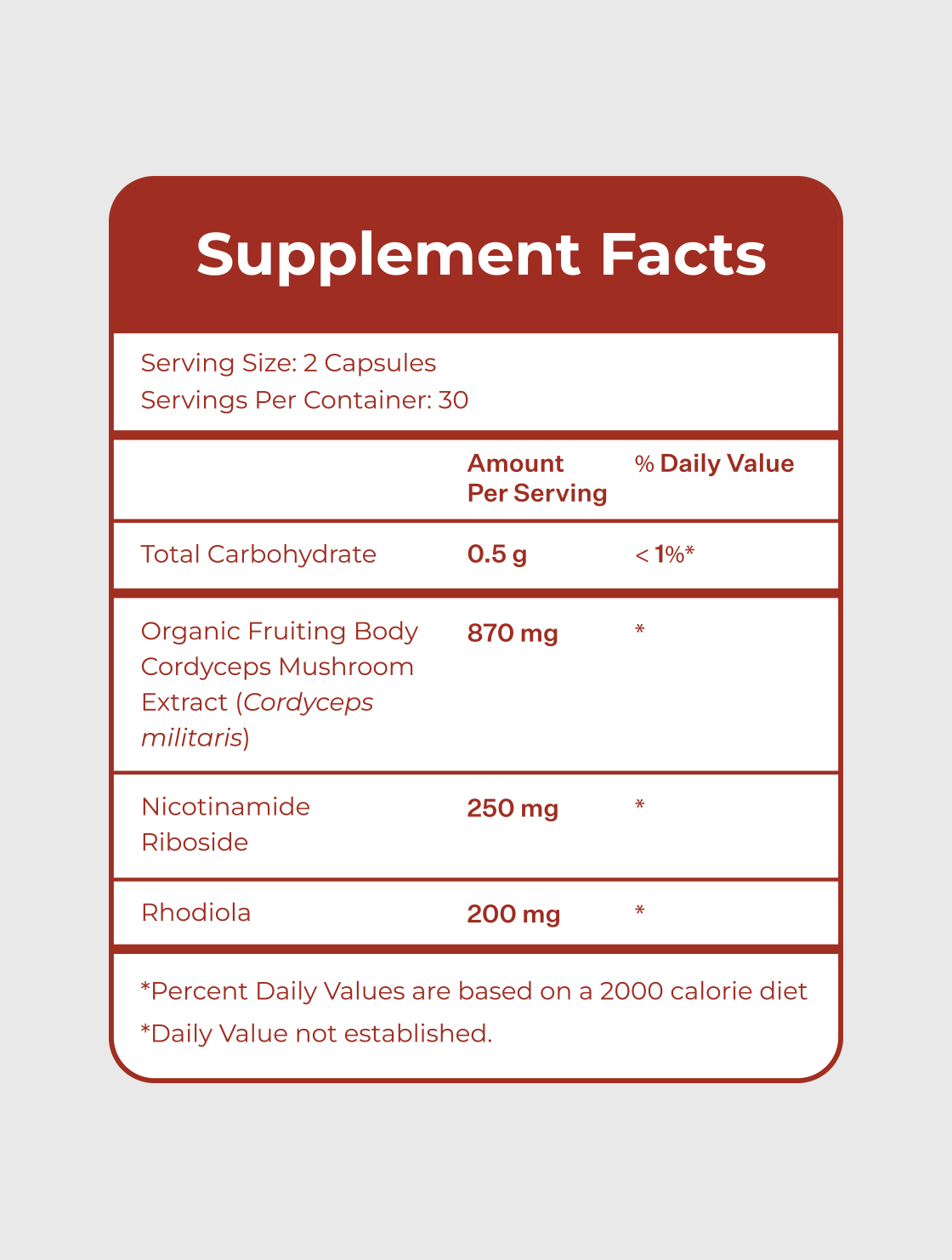 Myco Rise: Functional mushroom capsules for energy and focus – Umbo