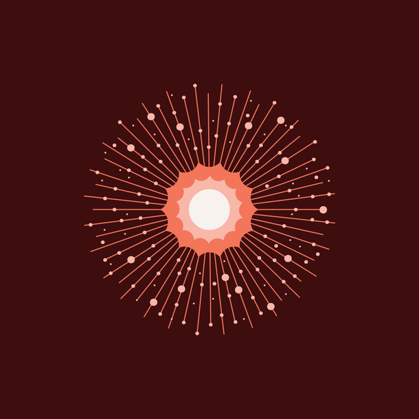 Myco Rise: Functional mushroom capsules for energy and focus – Umbo