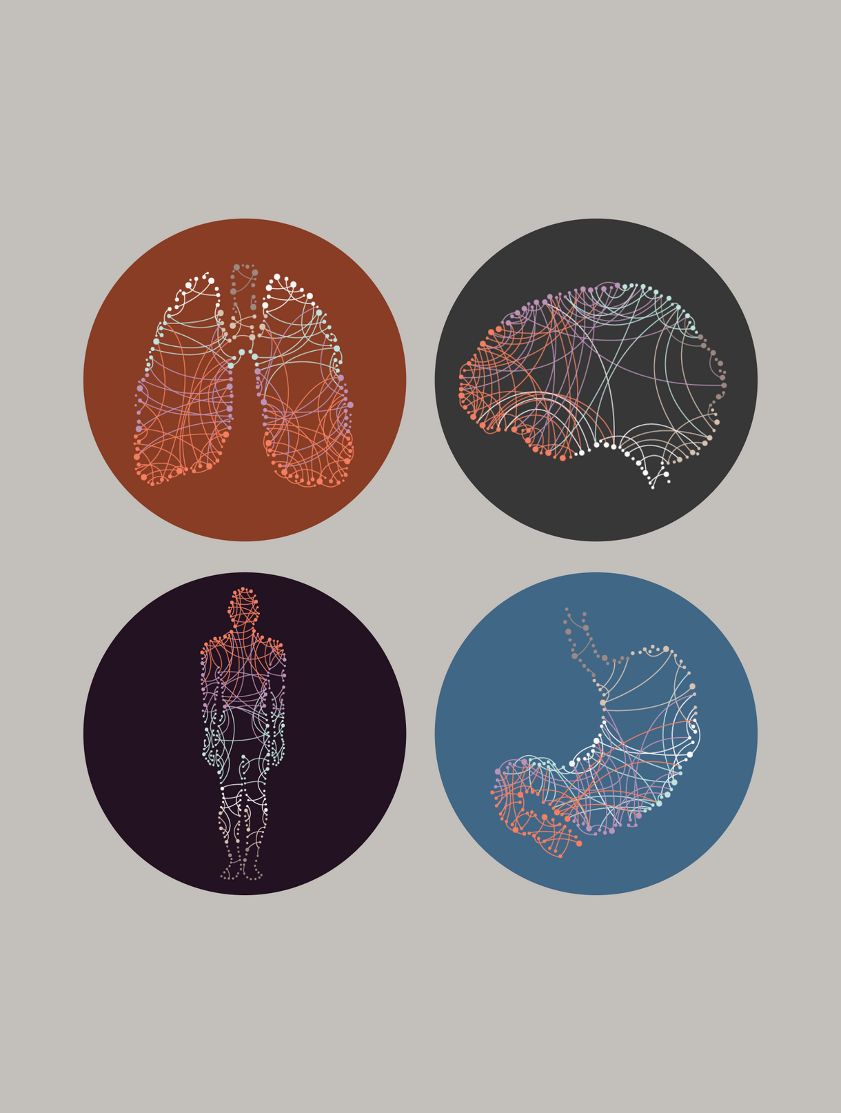 The Functional Four Whole Mushroom Tincture Bundle – Umbo